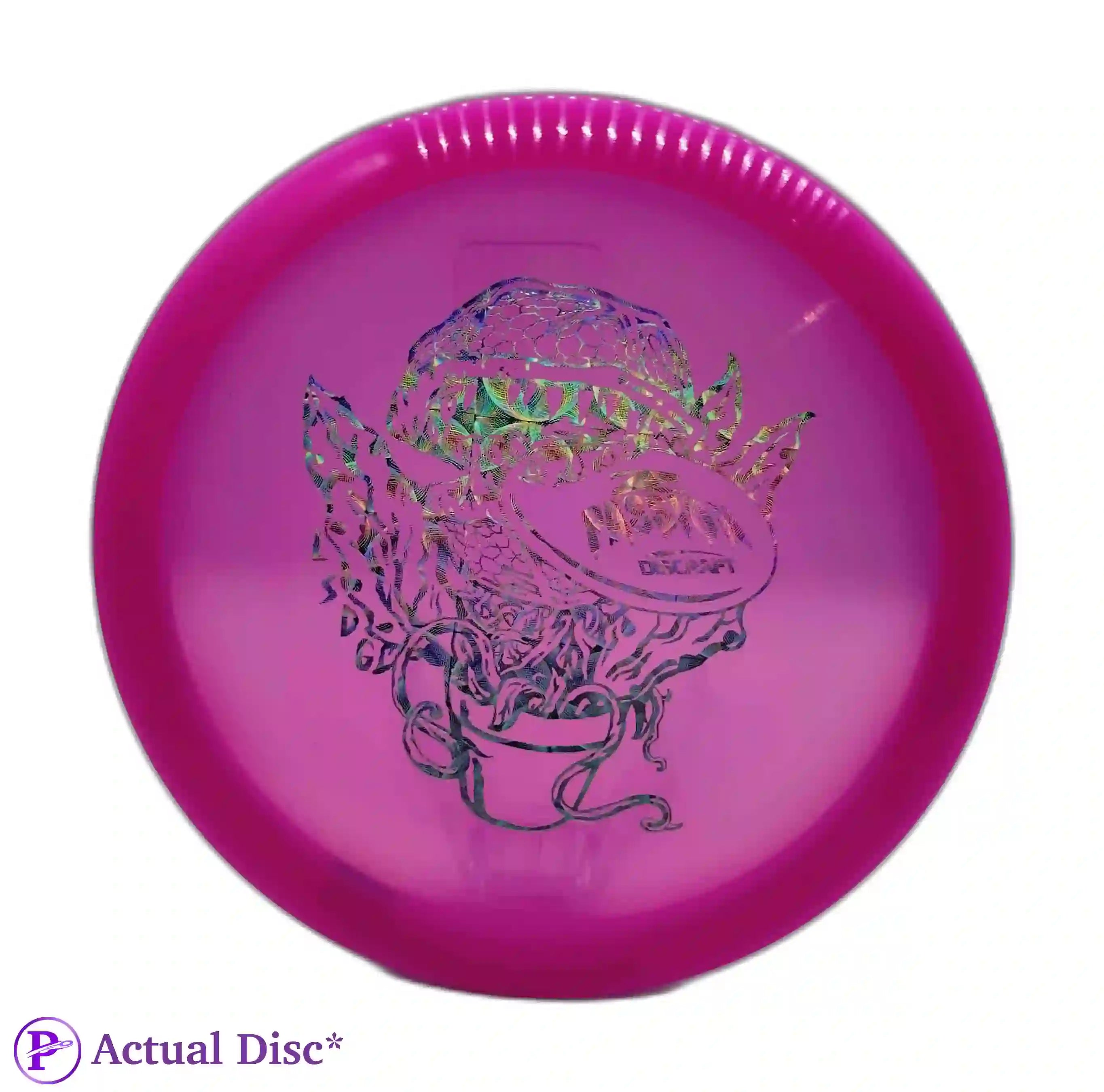 Z Passion Ledgestone 2024 – Prodisc